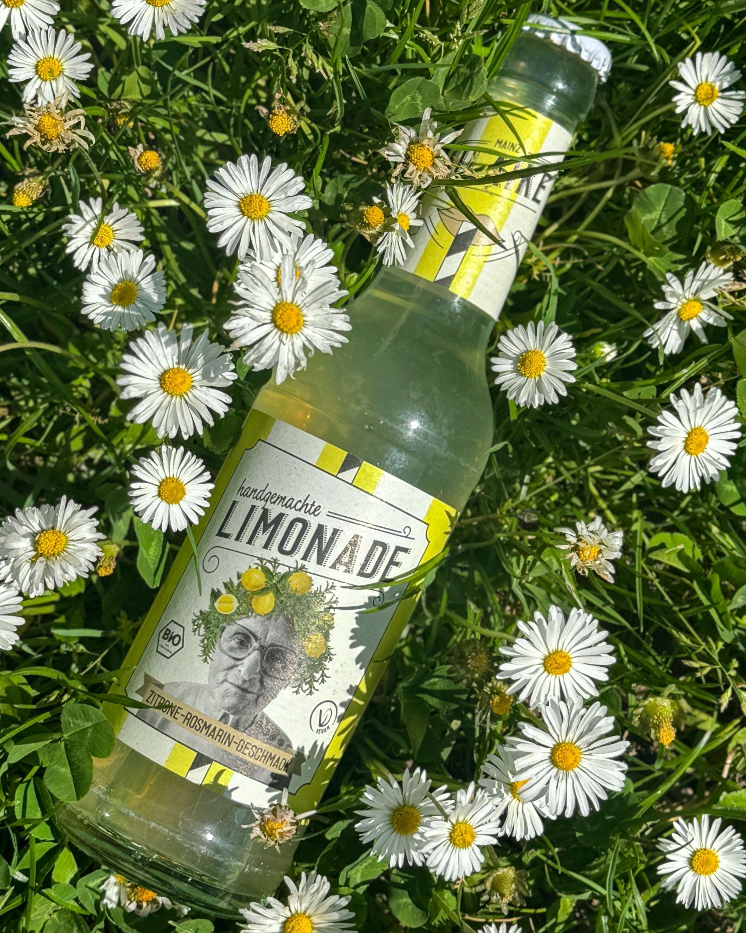 Was macht eine Limonade zur echten Bio-Limonade?– AiLaike